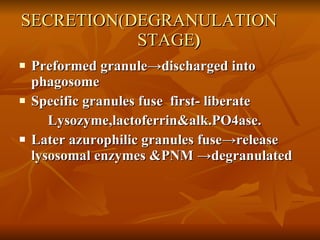 Inflammation | PPT
