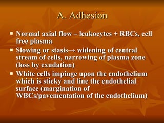 Inflammation | PPT