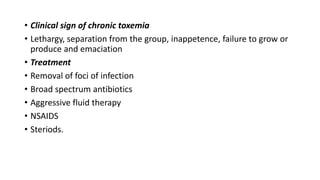 INFLAMMATION, INFECTION, PYAEMIA, TOXEMIA,.pptx