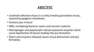 INFLAMMATION, INFECTION, PYAEMIA, TOXEMIA,.pptx