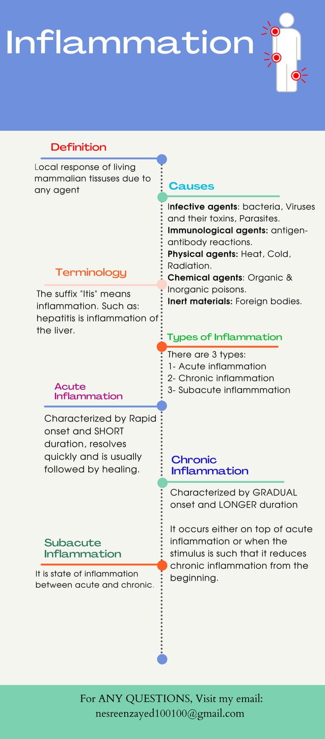 Inflammation Info-graphic | PDF | Free Download