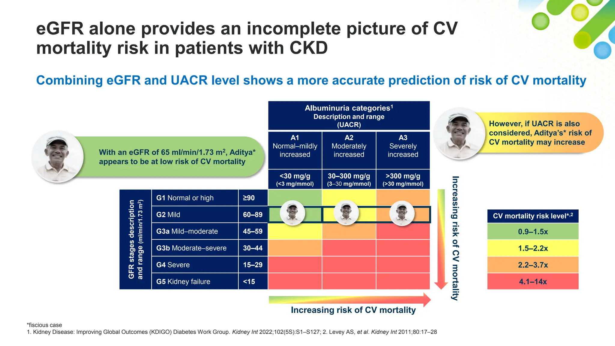 Inflammation in T2D..................pdf
