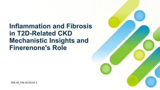 Inflammation in T2D..................pdf