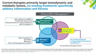 Inflammation in T2D..................pdf