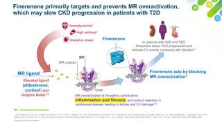 Inflammation in T2D..................pdf