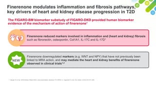 Inflammation in T2D..................pdf