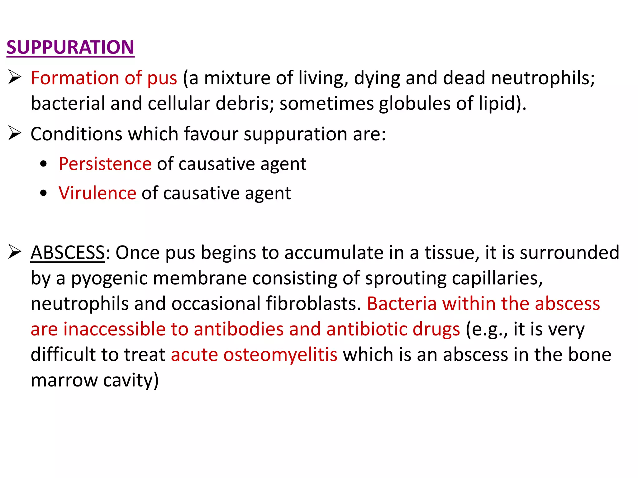 Inflammation l3 | PPTX