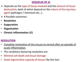 Inflammation l3 | PPTX