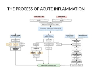 INFLAMMATION in surgical nursing FHSpptx | PPTX