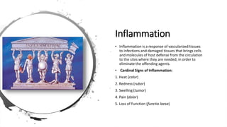 Inflammation and Repair | PPTX