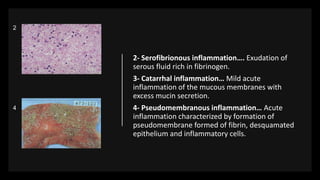 Inflammation and Repair | PPTX