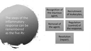 Inflammation and Repair | PPTX