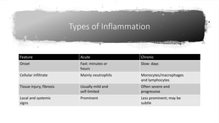 Inflammation and Repair | PPTX