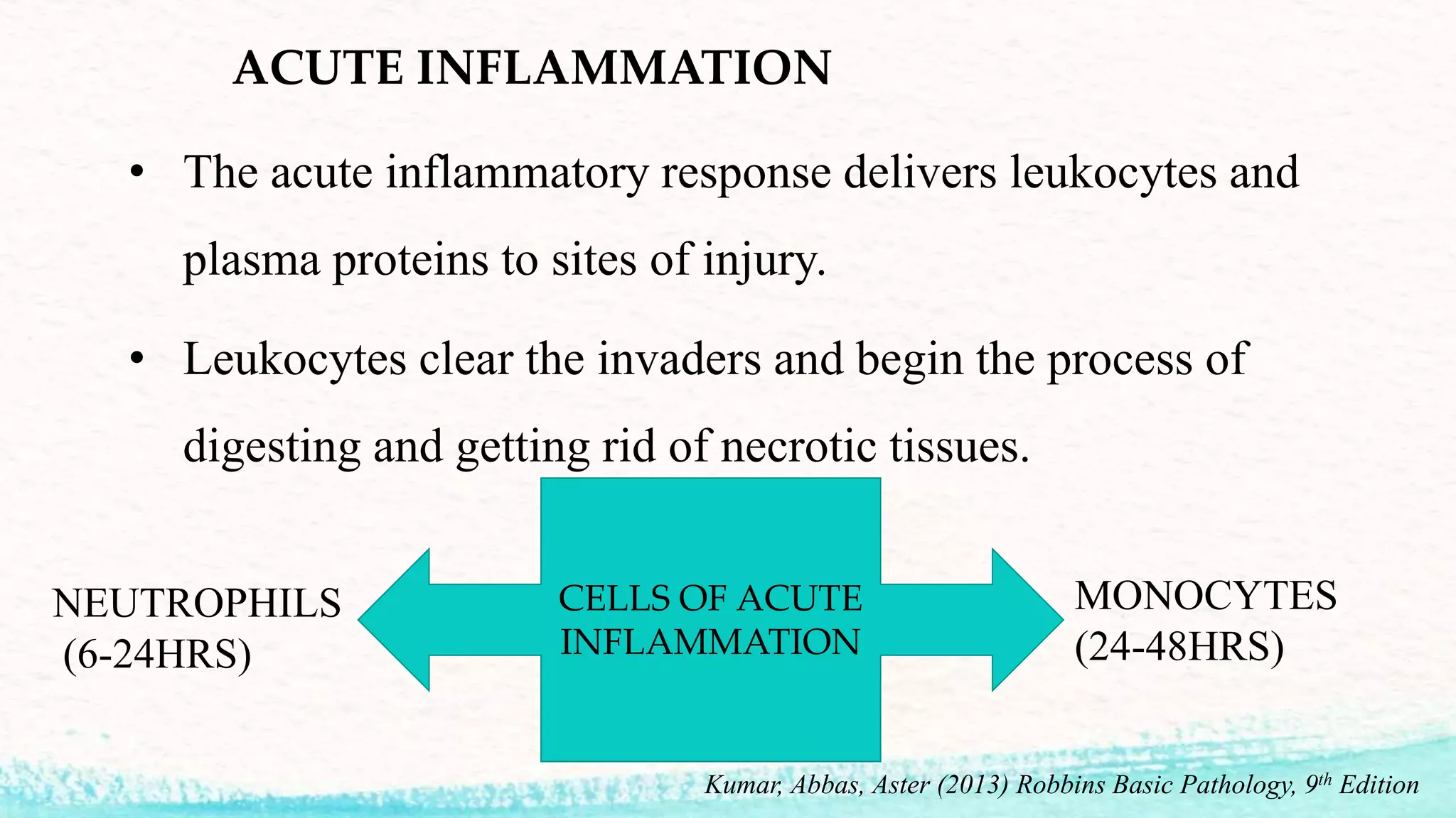 Inflammation in the Oral Cavity | PPTX