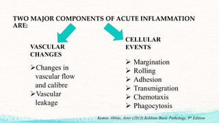 Inflammation in the Oral Cavity | PPTX