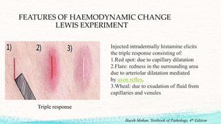 Inflammation in the Oral Cavity | PPTX