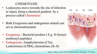 Inflammation in the Oral Cavity | PPTX