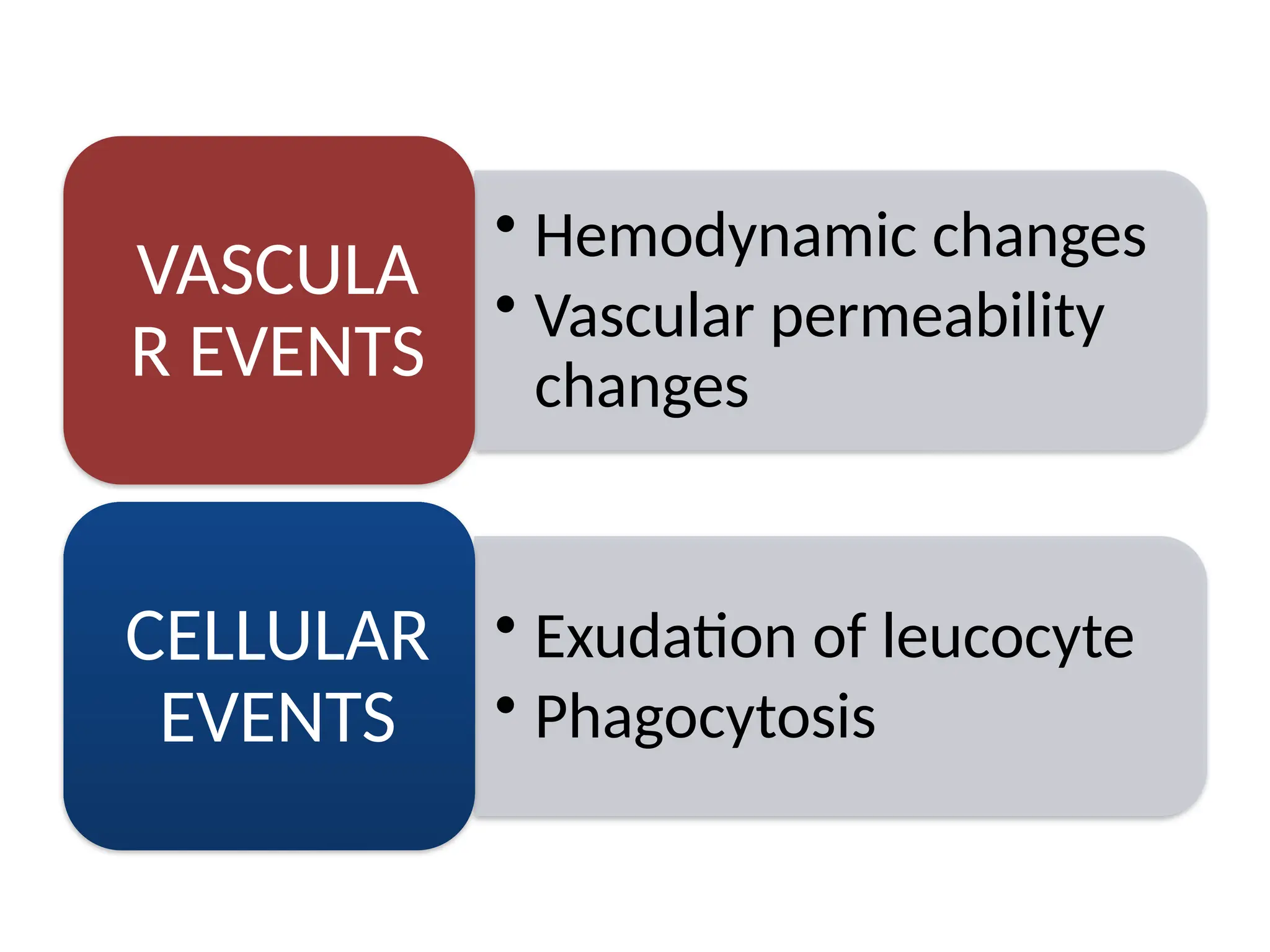INFLAMMATION -acute inflammation vascular .pptx