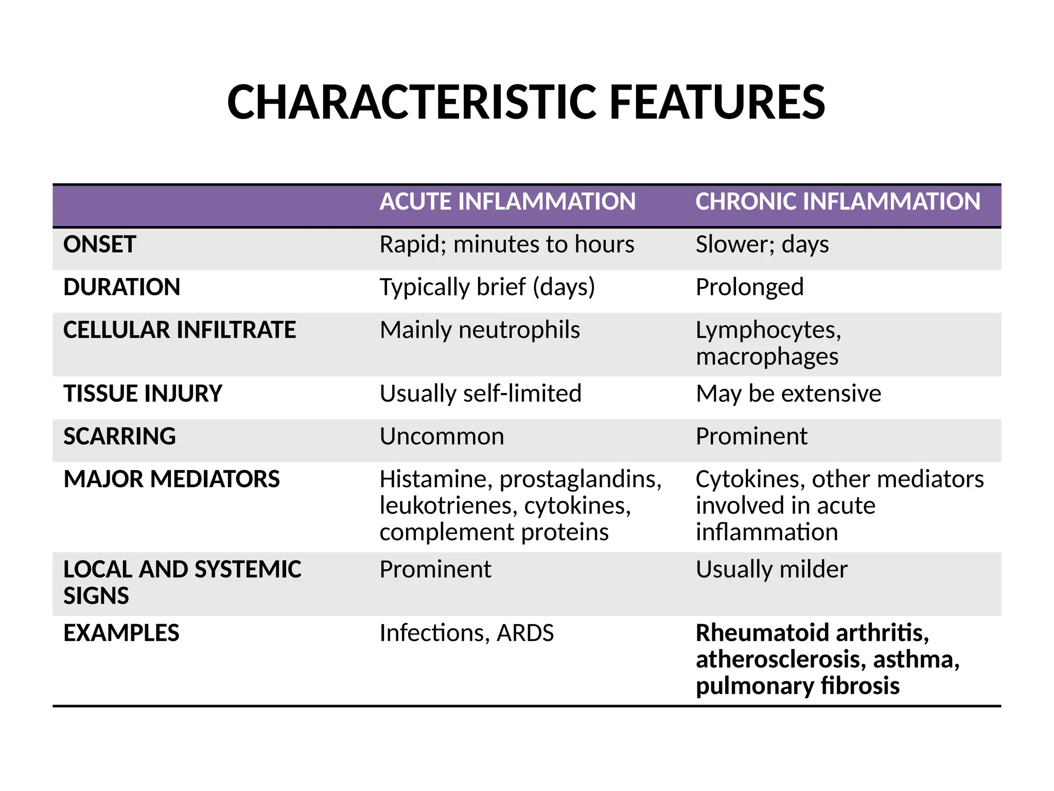 INFLAMMATION -acute inflammation vascular .pptx
