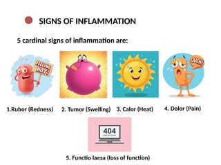 INFLAMMATION -acute inflammation vascular .pptx