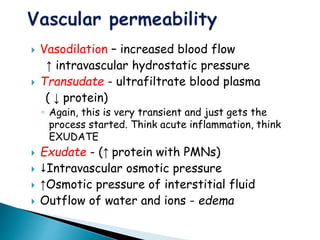 INFLAMMATION PA 4.1.ppt | Blood Disorders | Diseases and Conditions