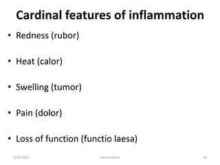 Inflammation Pathology BPharm LMMU 2025.pdf