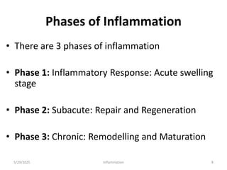 Inflammation Pathology BPharm LMMU 2025.pdf