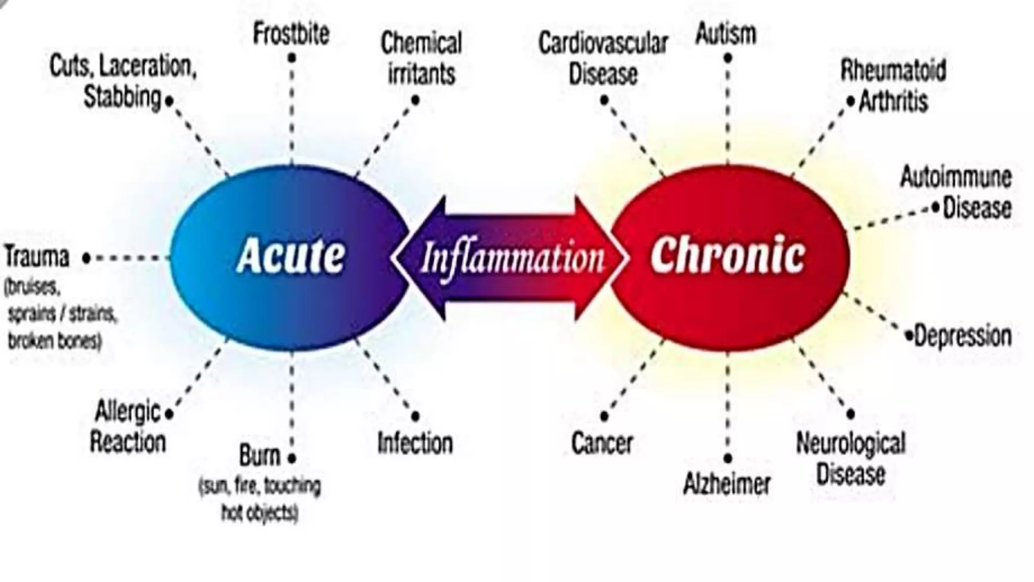INFLAMMATION PPT.pptx