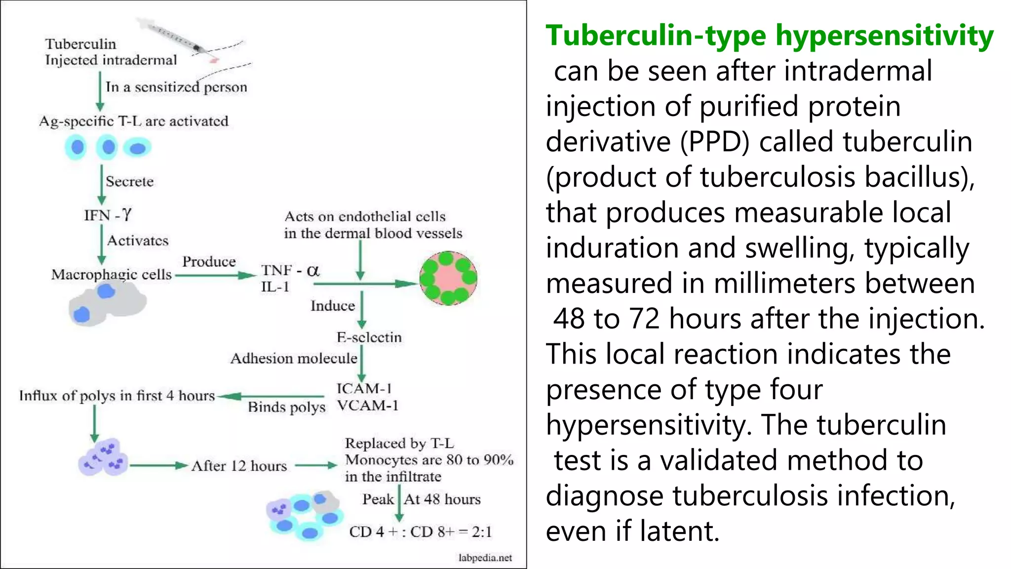 Types of Inflammation ppt.pptx