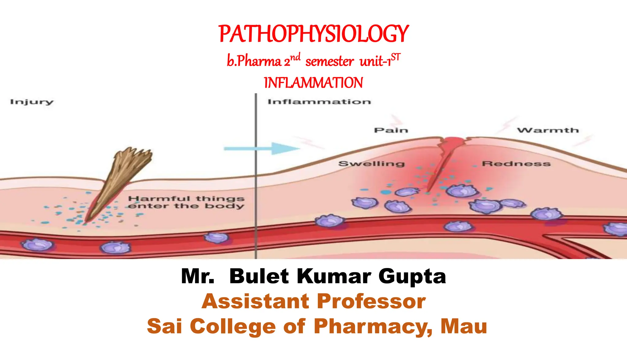 inflammation ppt BKG.pptx Acute & chronic | PPTX
