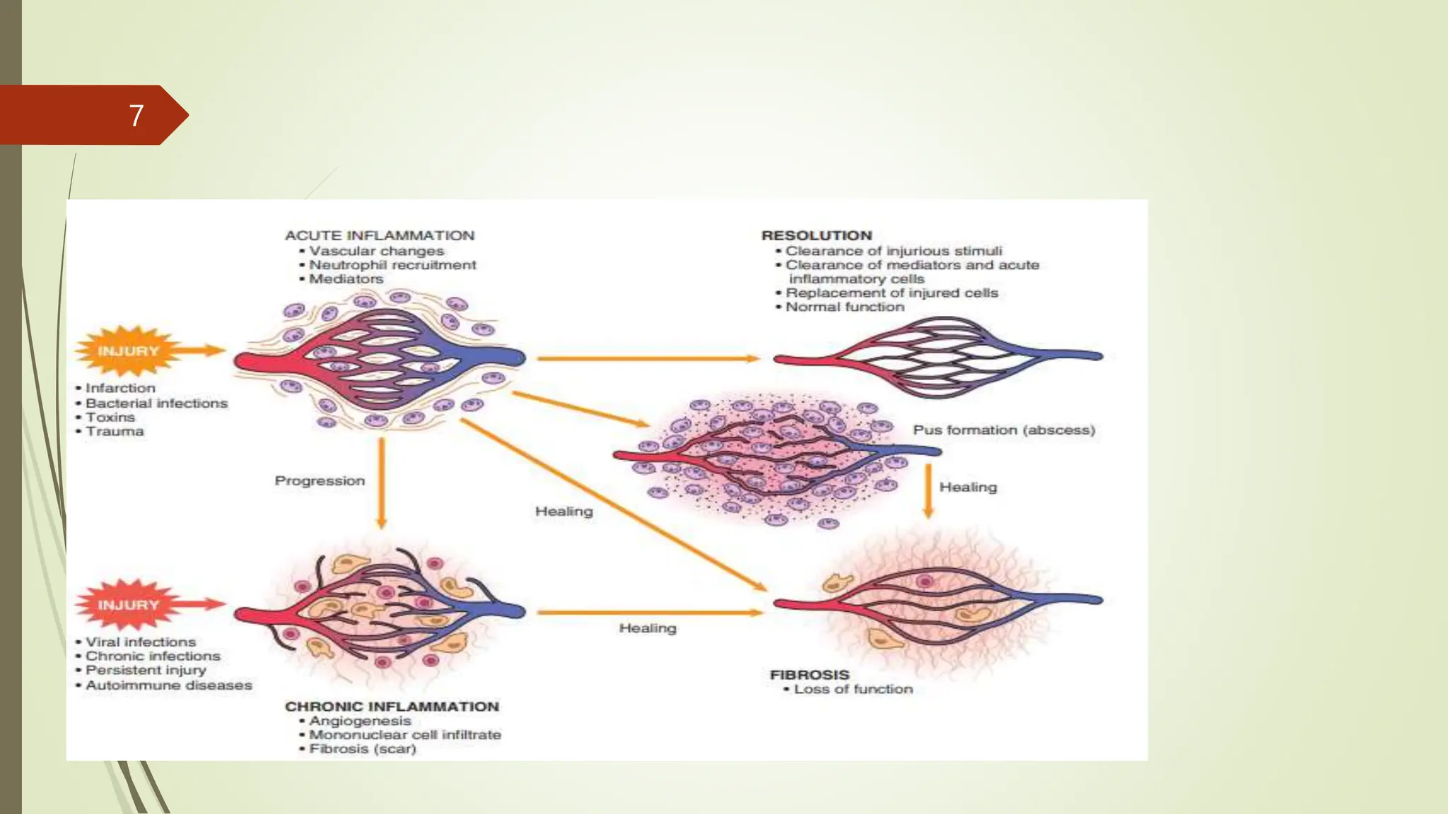 Inflammation Practical.slideshare.pptx. | PPTX