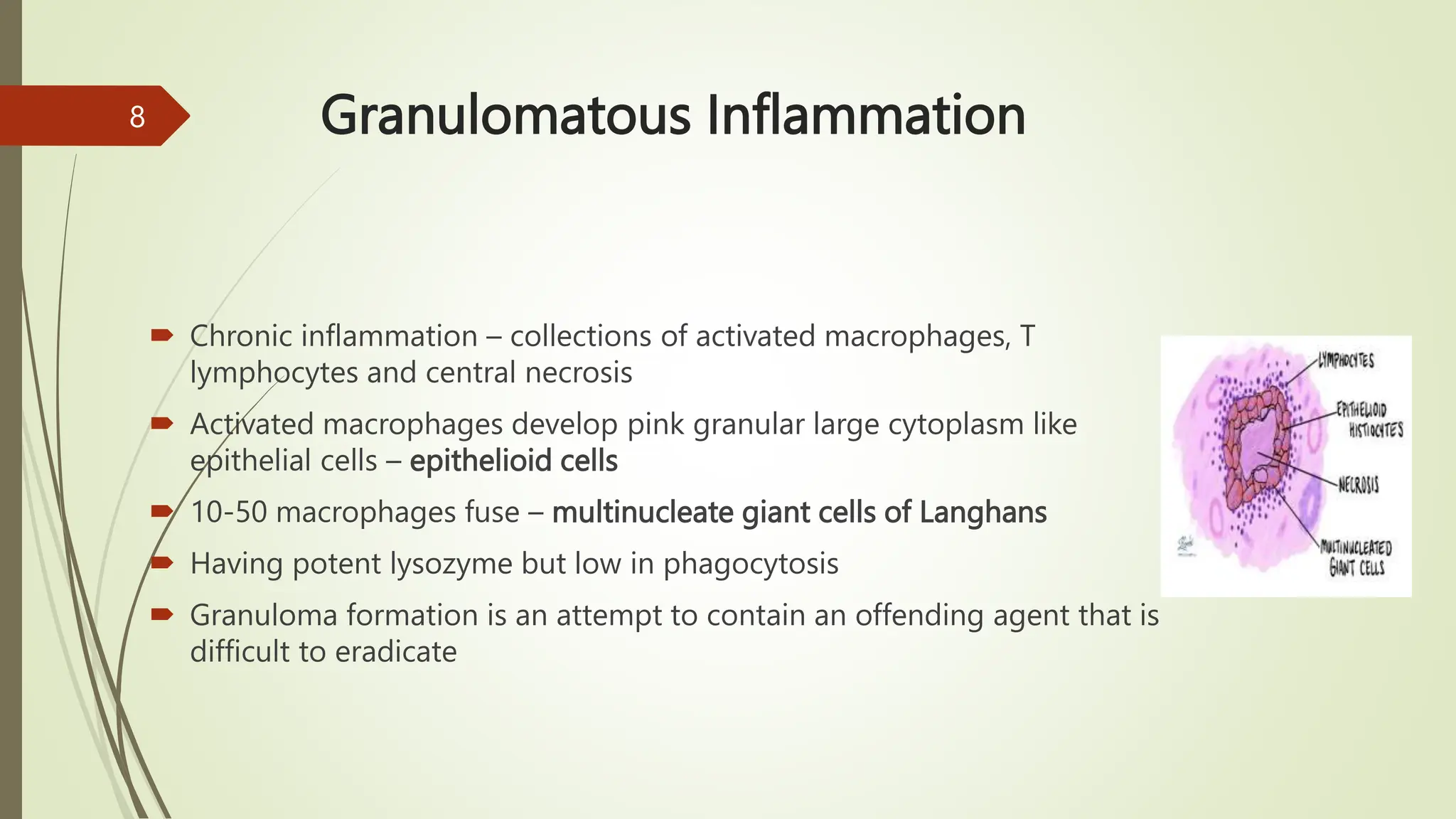 Inflammation Practical.slideshare.pptx. | PPTX