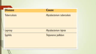 Inflammation Practical.slideshare.pptx. | PPTX