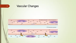 Inflammation Practical.slideshare.pptx. | PPTX | Biological Sciences ...