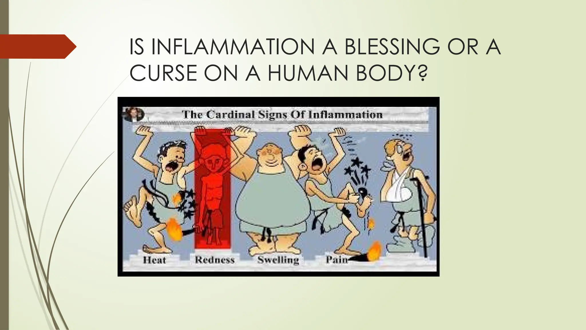 INFLAMMATION & REPAIR power point presentation | PPTX | Medical Health
