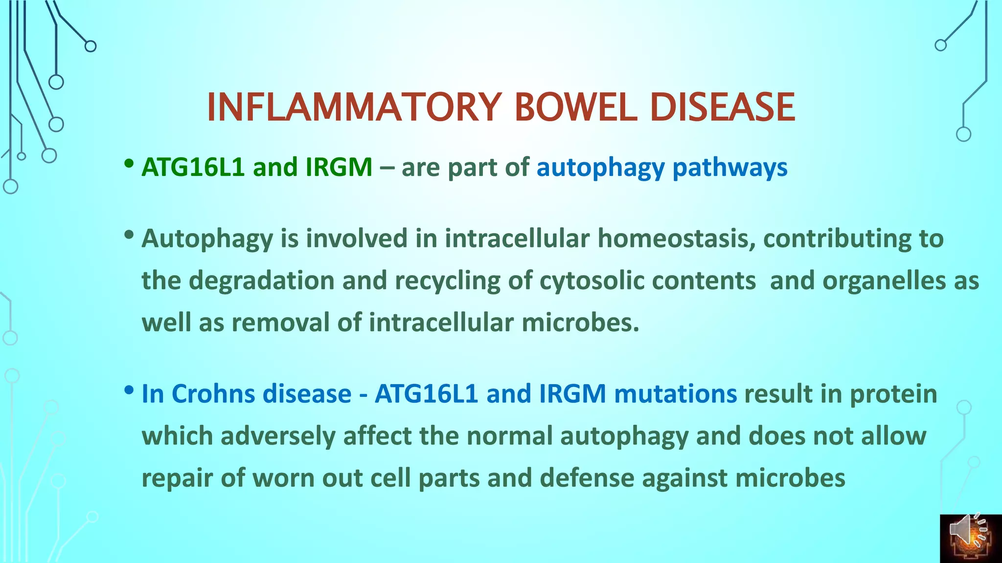 Inflammatory-bowel-disease-pathogenesis.ppt
