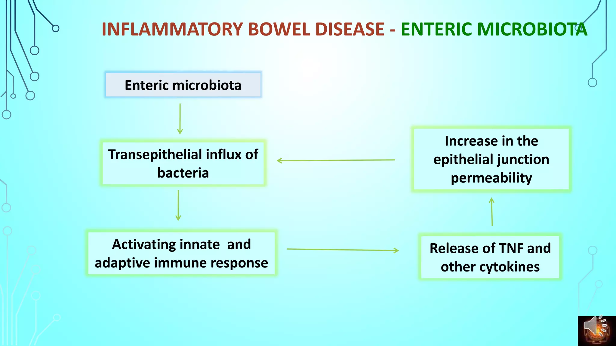Inflammatory-bowel-disease-pathogenesis.ppt