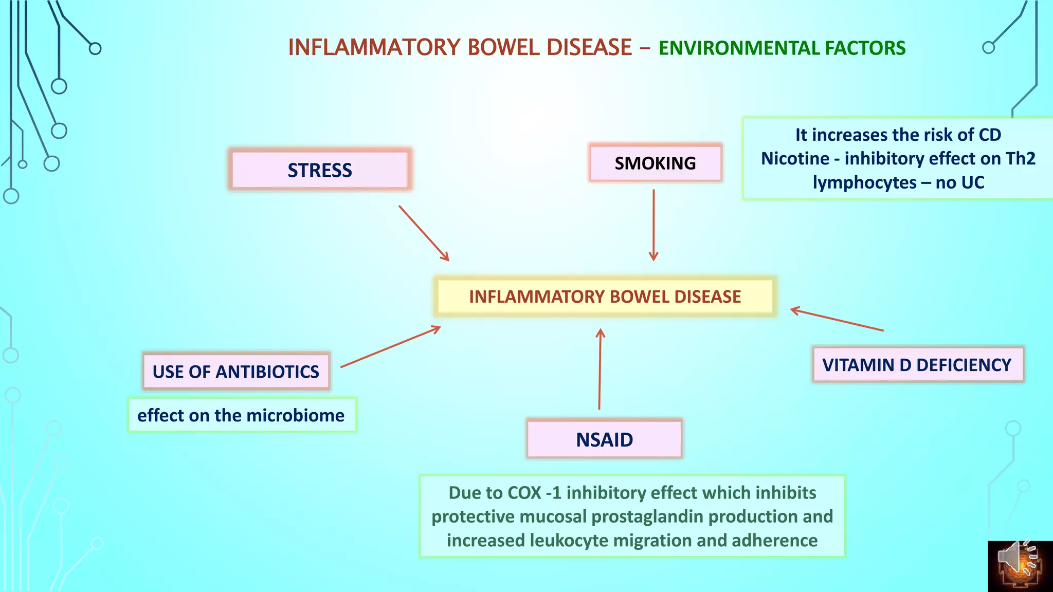 Inflammatory-bowel-disease-pathogenesis.ppt