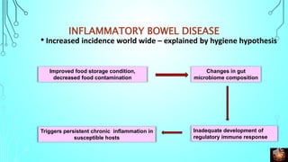 Inflammatory-bowel-disease-pathogenesis.ppt