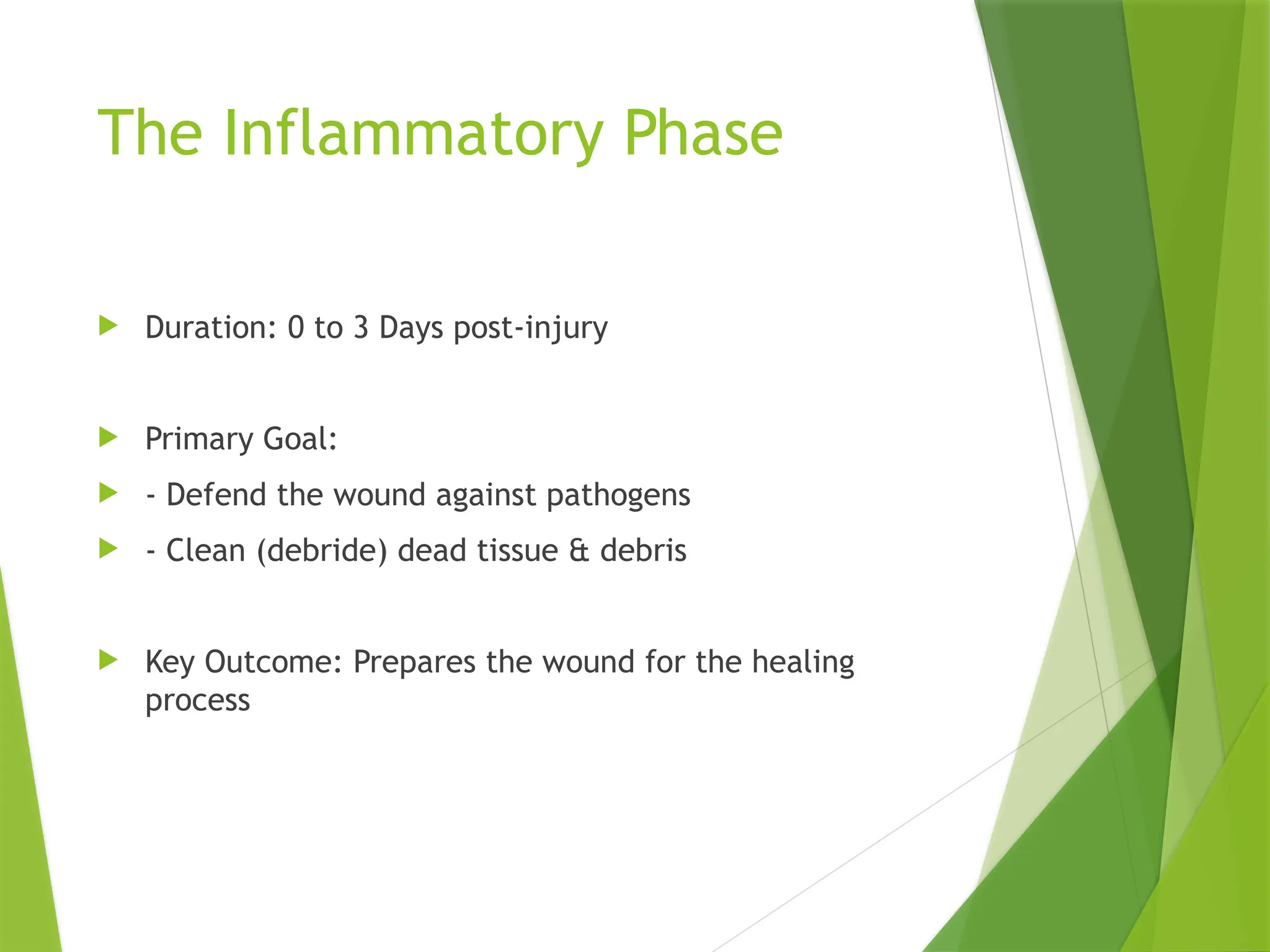 Inflammatory_and_Proliferative_Phases.pptx