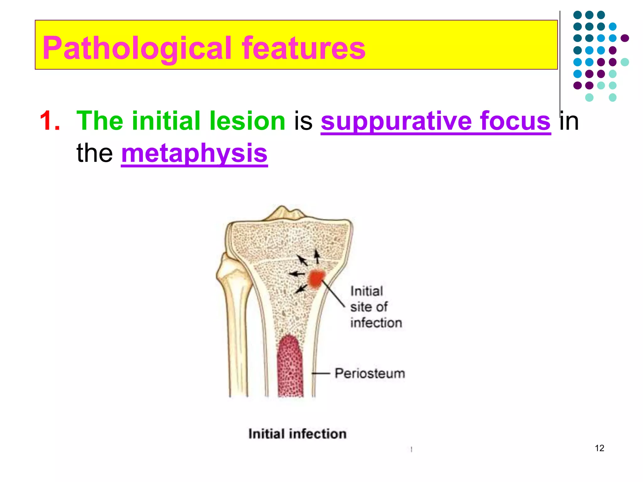 Inflammatory bone diseases & bone fracture_Dr.Manal Ismail Abd-Elghany ...