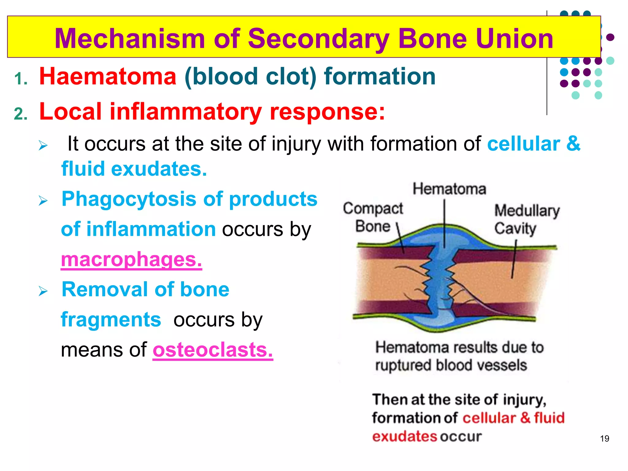 Inflammatory bone diseases & bone fracture_Dr.Manal Ismail Abd-Elghany ...
