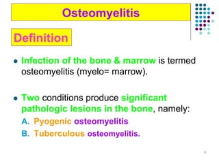 Inflammatory bone diseases & bone fracture_Dr.Manal Ismail Abd-Elghany ...