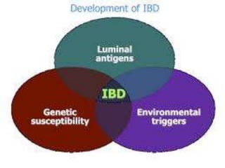Inflammatory bowel disease (IBD) | PPTX