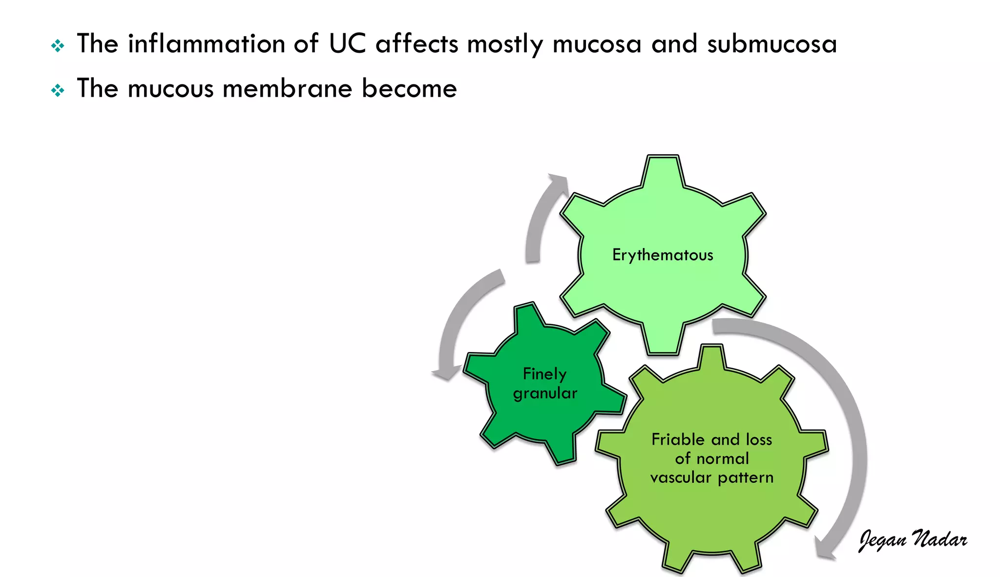 Pathophysiology of Inflammatory bowel disease | PDF