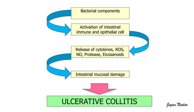 Pathophysiology of Inflammatory bowel disease | PDF