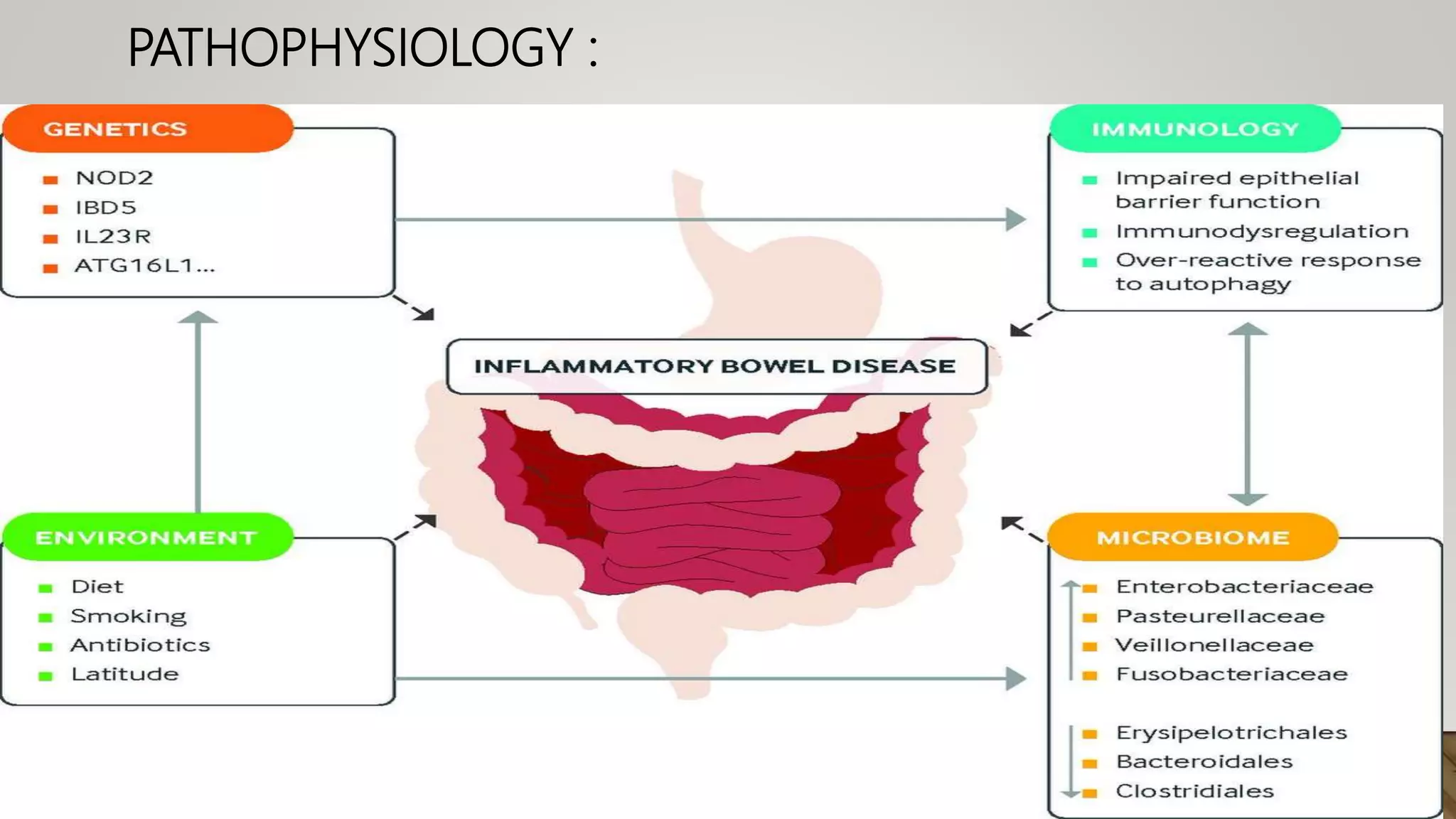 Inflammatory bowel disease | PPT