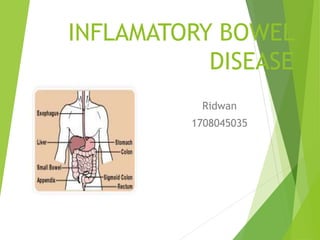 INFLAMMATORY_BOWEL_DISEASE.ppt