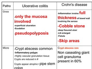 Inflammatory_Bowel_disease.ppt