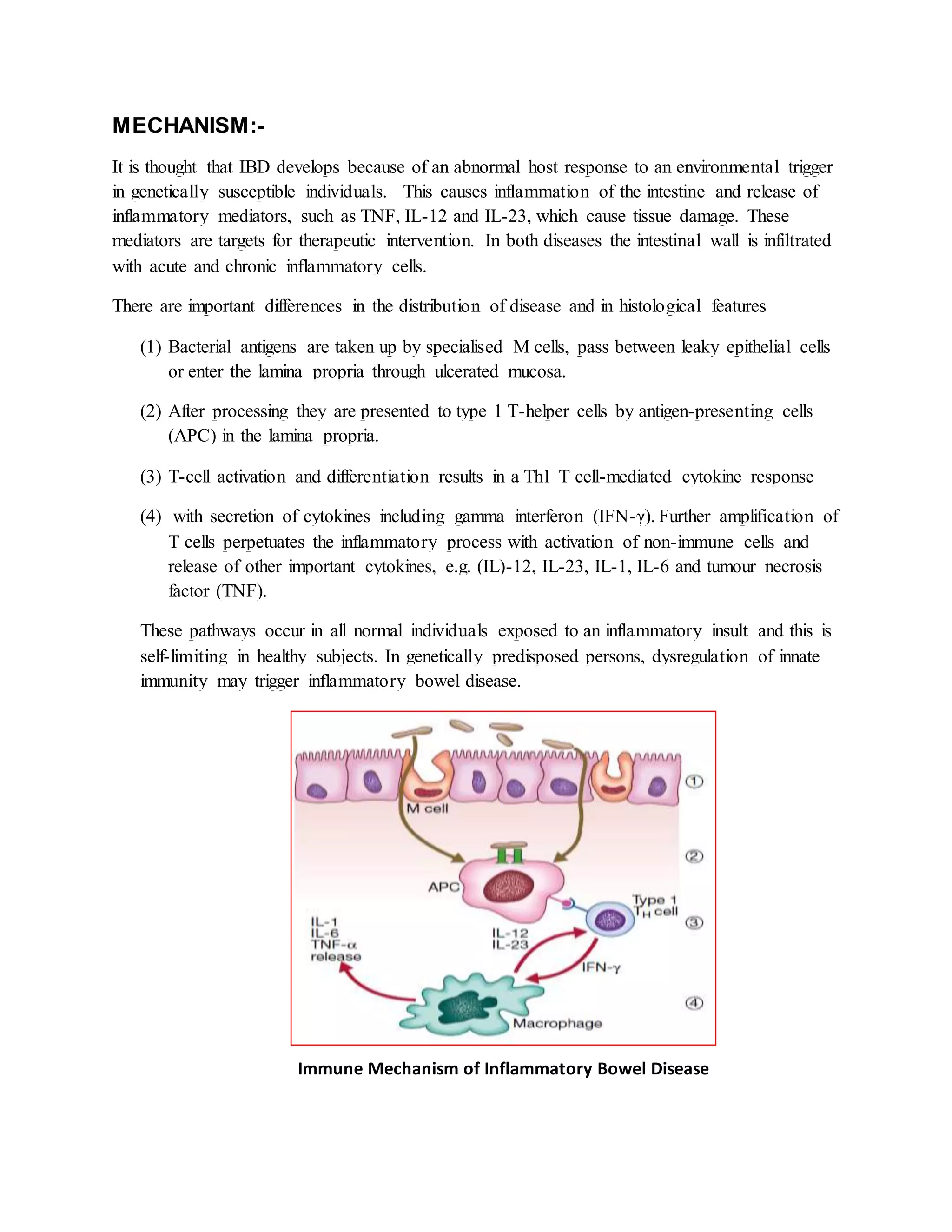 Inflammatory bowel disease(ibd)” | DOCX